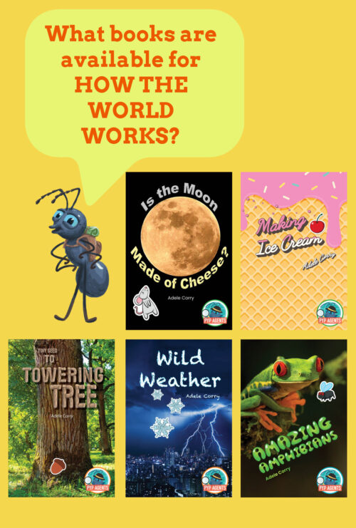 PYP Agents: Year 1 Class Set - Extend Education